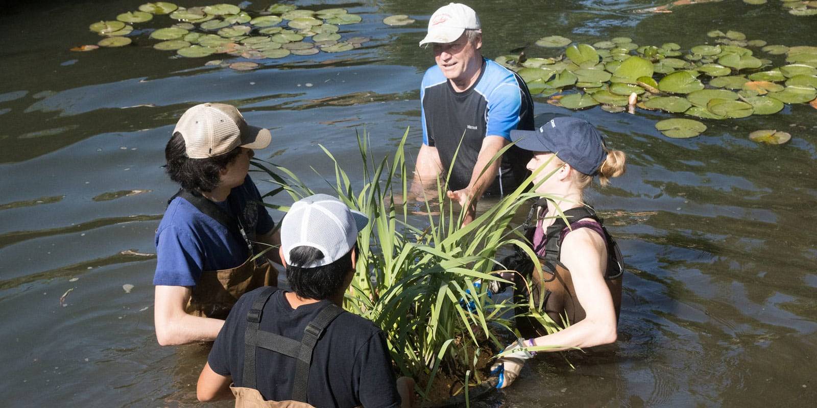 Frederick Water Decorations | Color On The Creek
